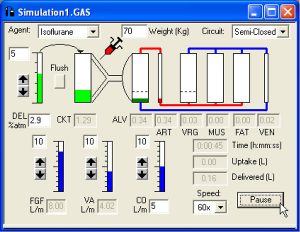 Gas Man® » The unique computer tool for teaching, simulating and ...
